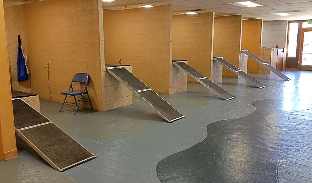 Dog Wash – Fourpawsandco